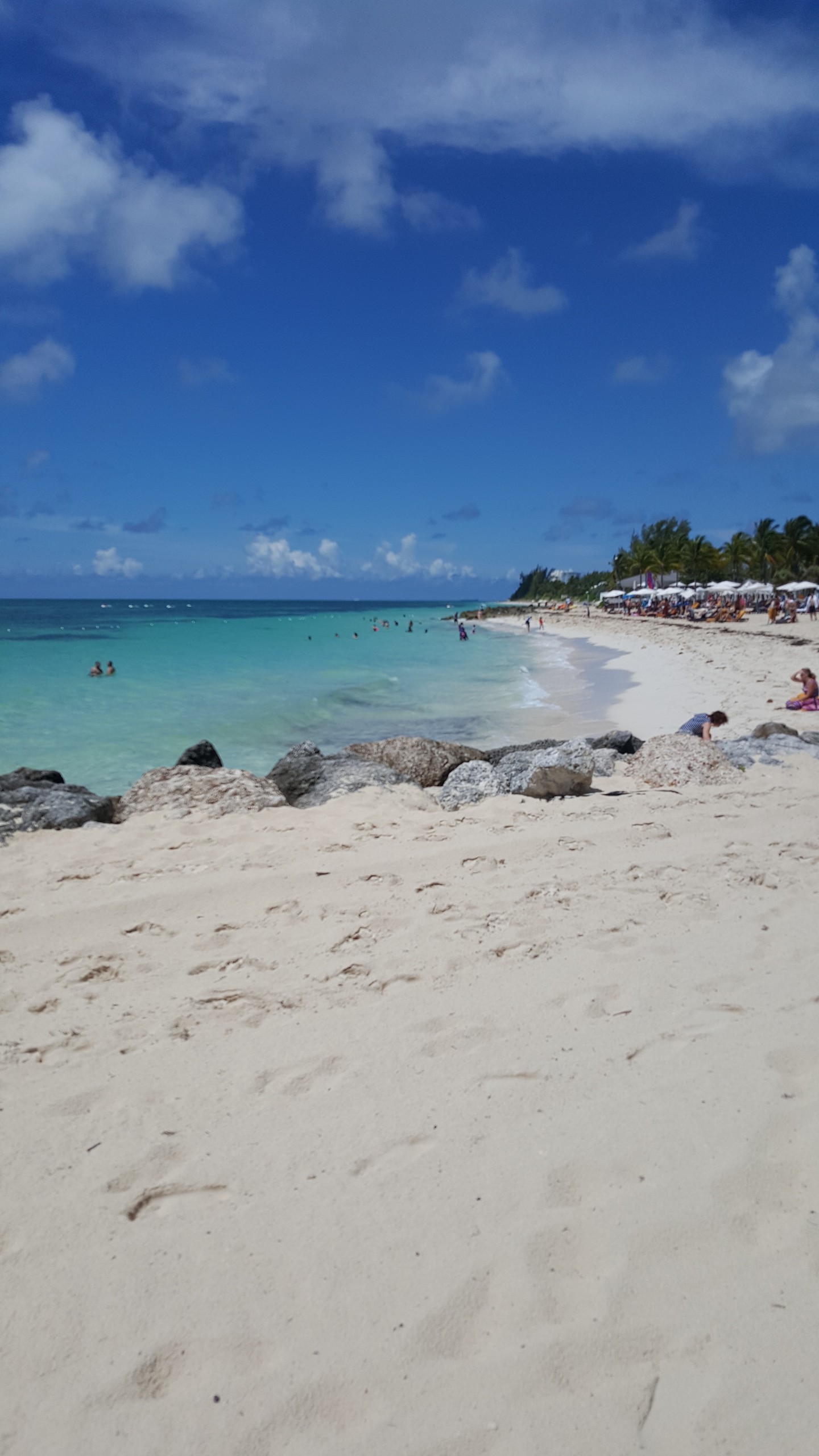 Memories Grand Bahama, Bahamas – Wander with Bri